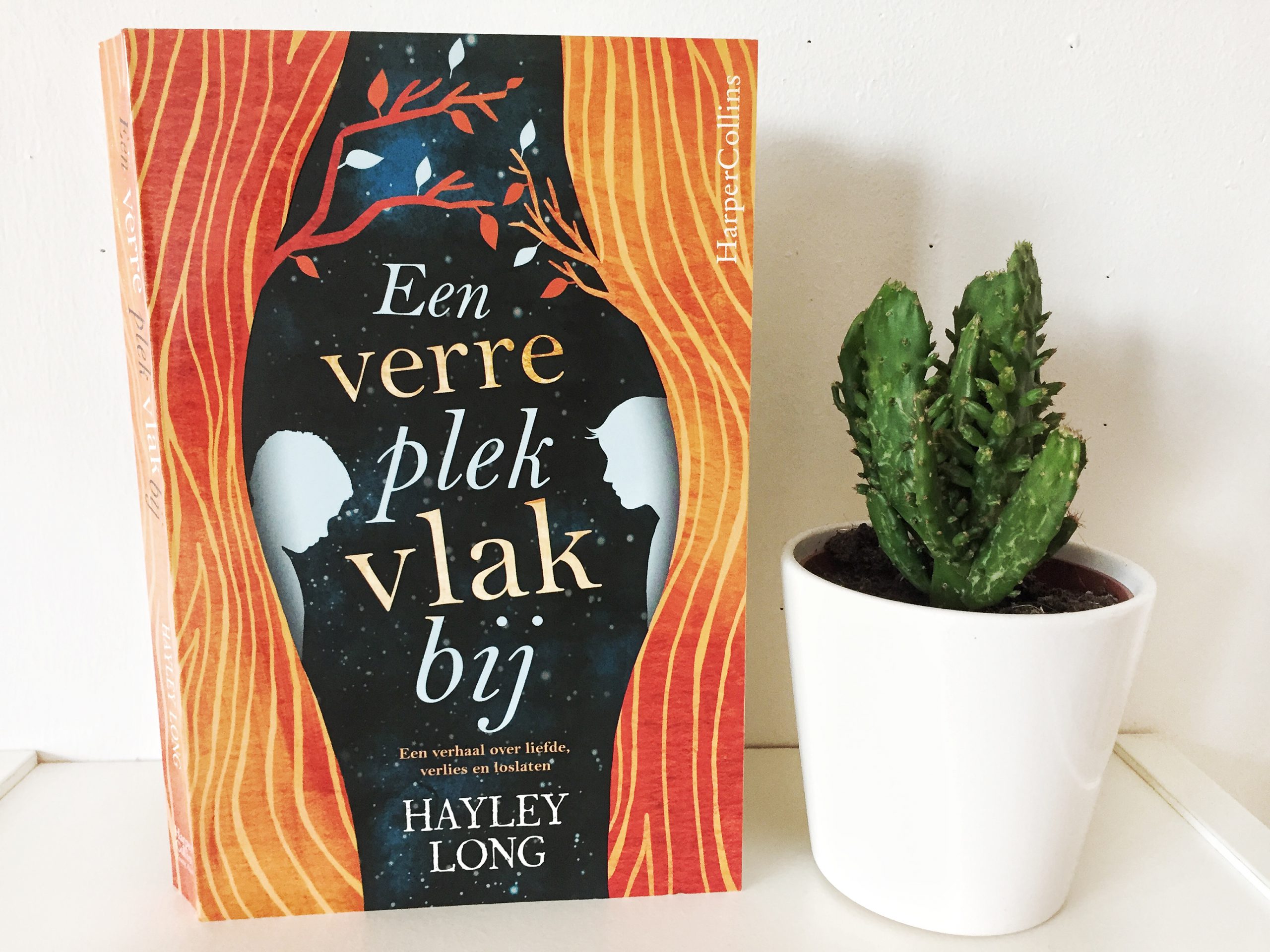 Een verre plek vlakbij | Hayley Long - Buiten het Boekje