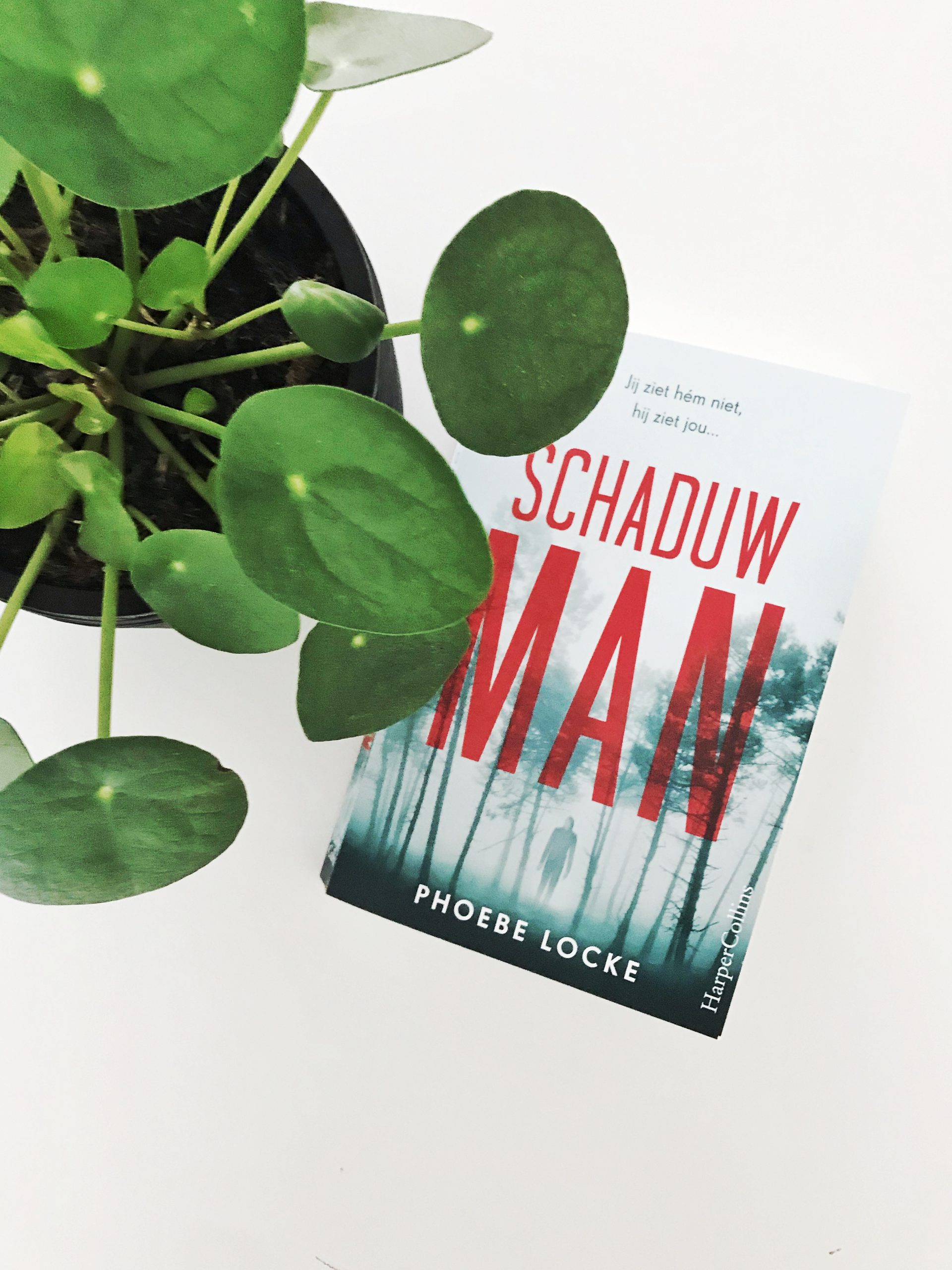 Schaduwman | Phoebe Locke - Buiten het Boekje